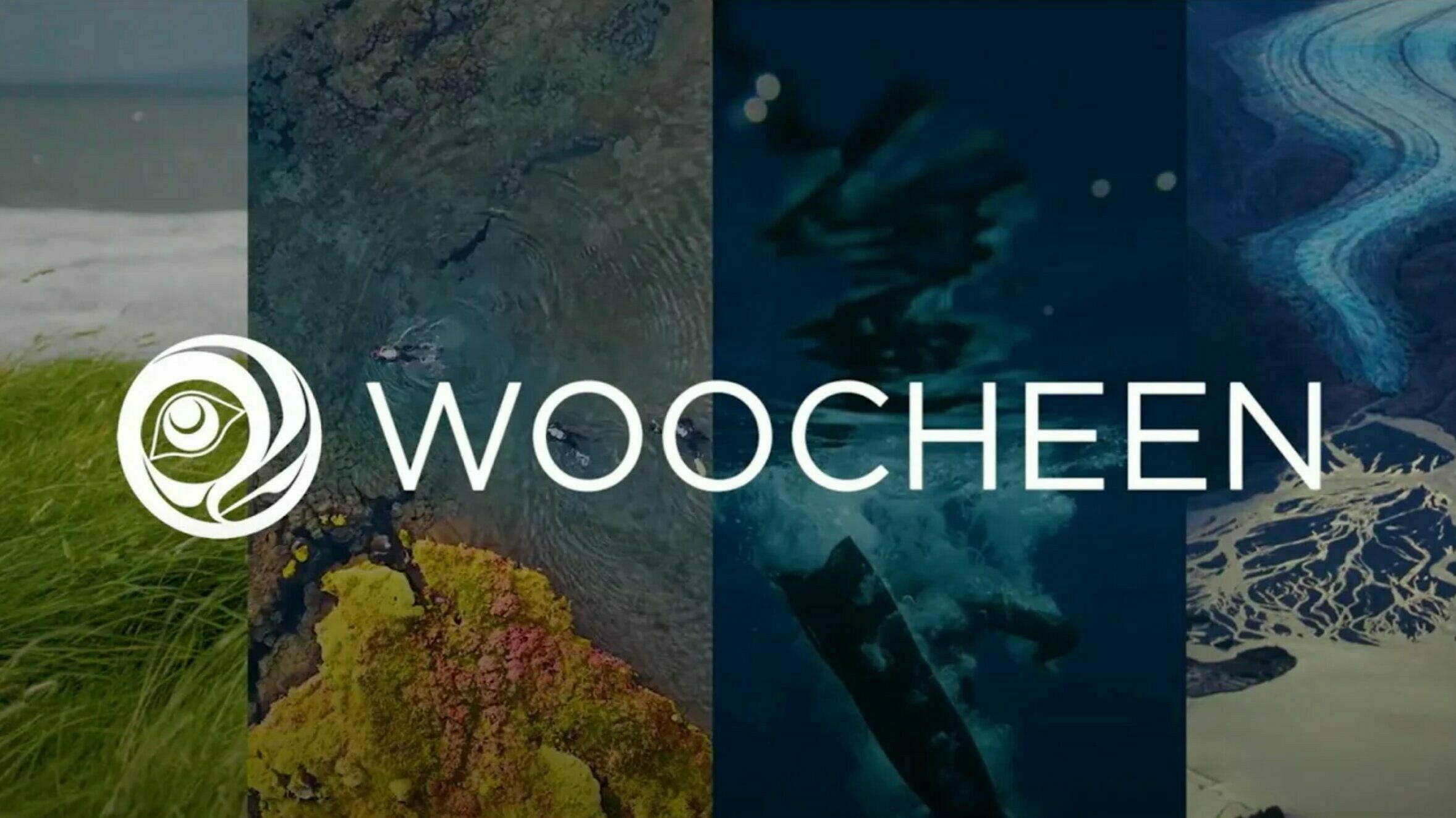 Home | Woocheen